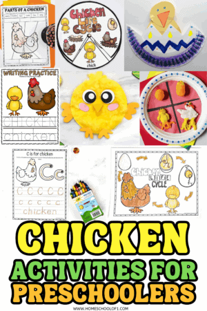 Fun Chicken Activities for Preschoolers | Crafts & Worksheets