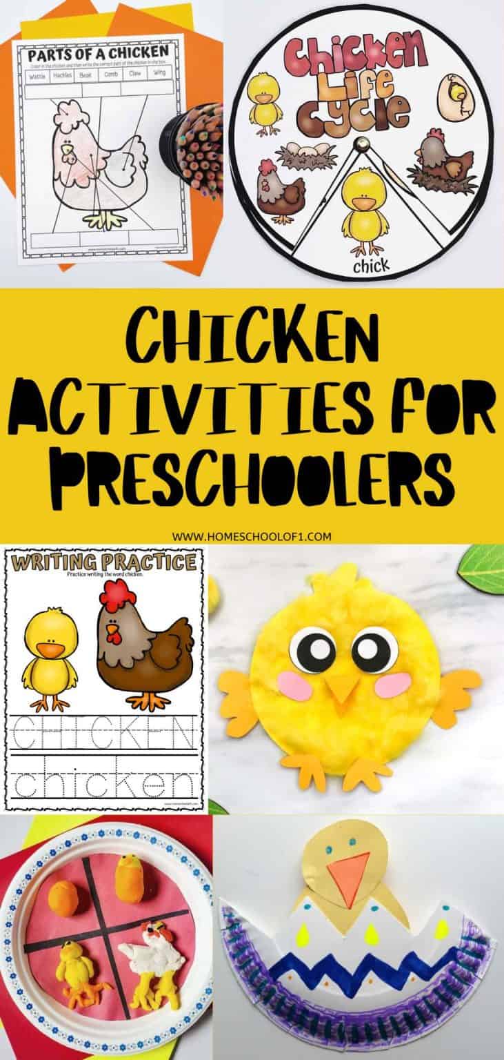 Fun Chicken Activities for Preschoolers | Crafts & Worksheets