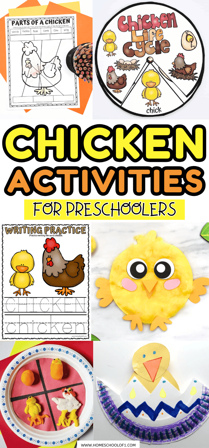 Fun Chicken Activities for Preschoolers | Crafts & Worksheets