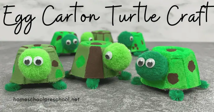 Turtle Activities for Preschoolers with Worksheets and Crafts