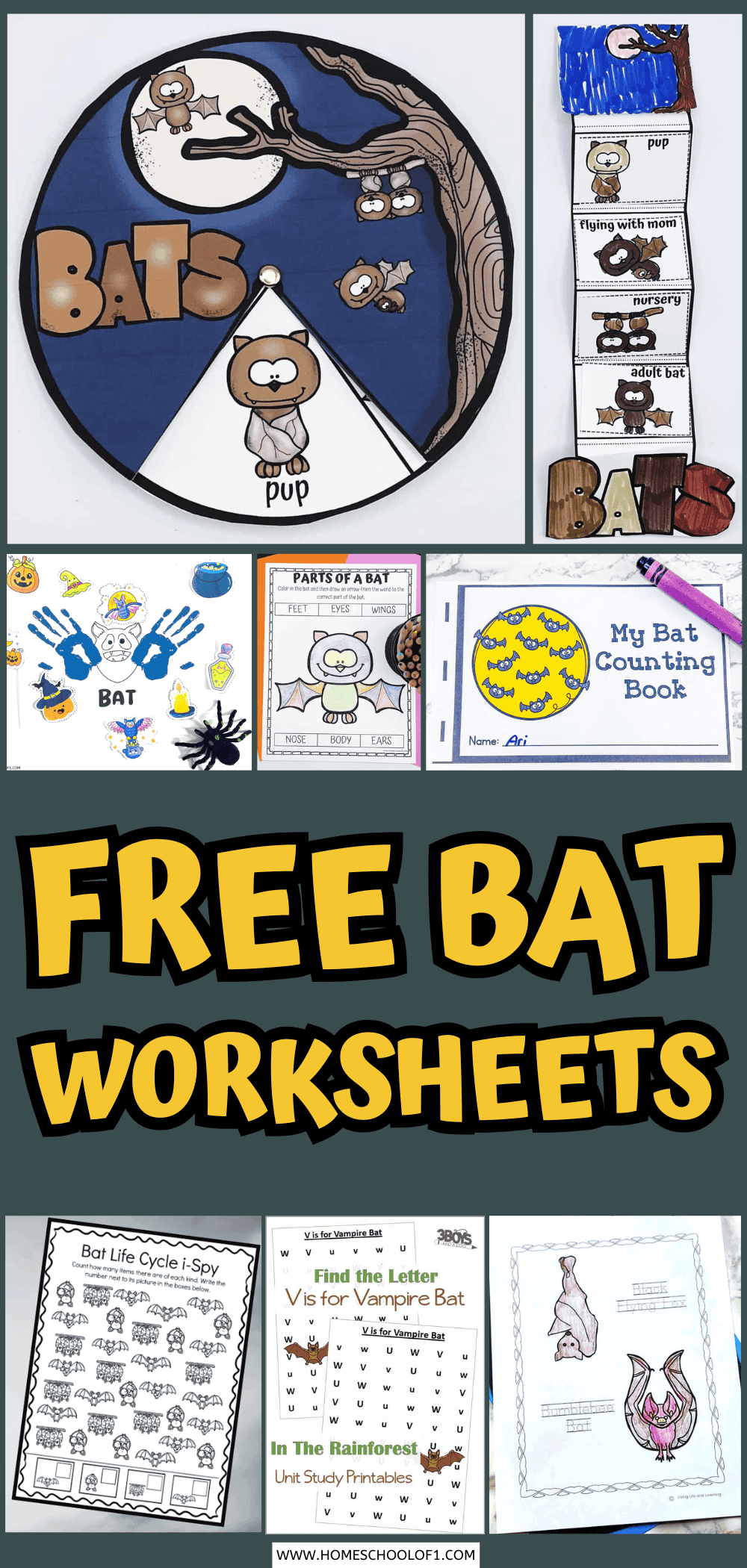 17 Free Printable Bat Worksheets For Kids