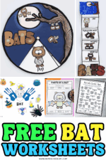 17 Free Printable Bat Worksheets For Kids