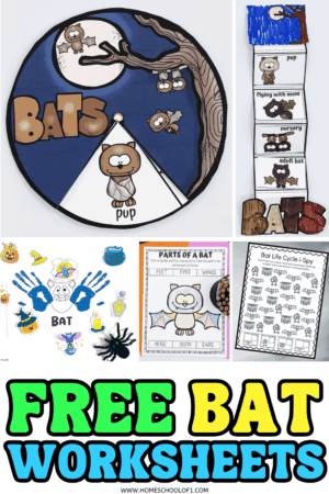 17 Free Printable Bat Worksheets For Kids