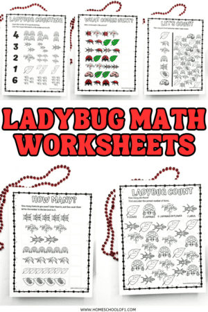 Free Ladybug Math Worksheet for Preschool Counting