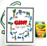 Free Life Cycle of a Carrot Worksheet