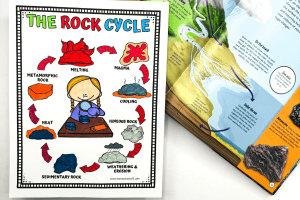 16 Rock Activities for Preschoolers with Free Worksheets