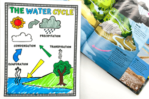 Fun Water Cycle Activities for Kids
