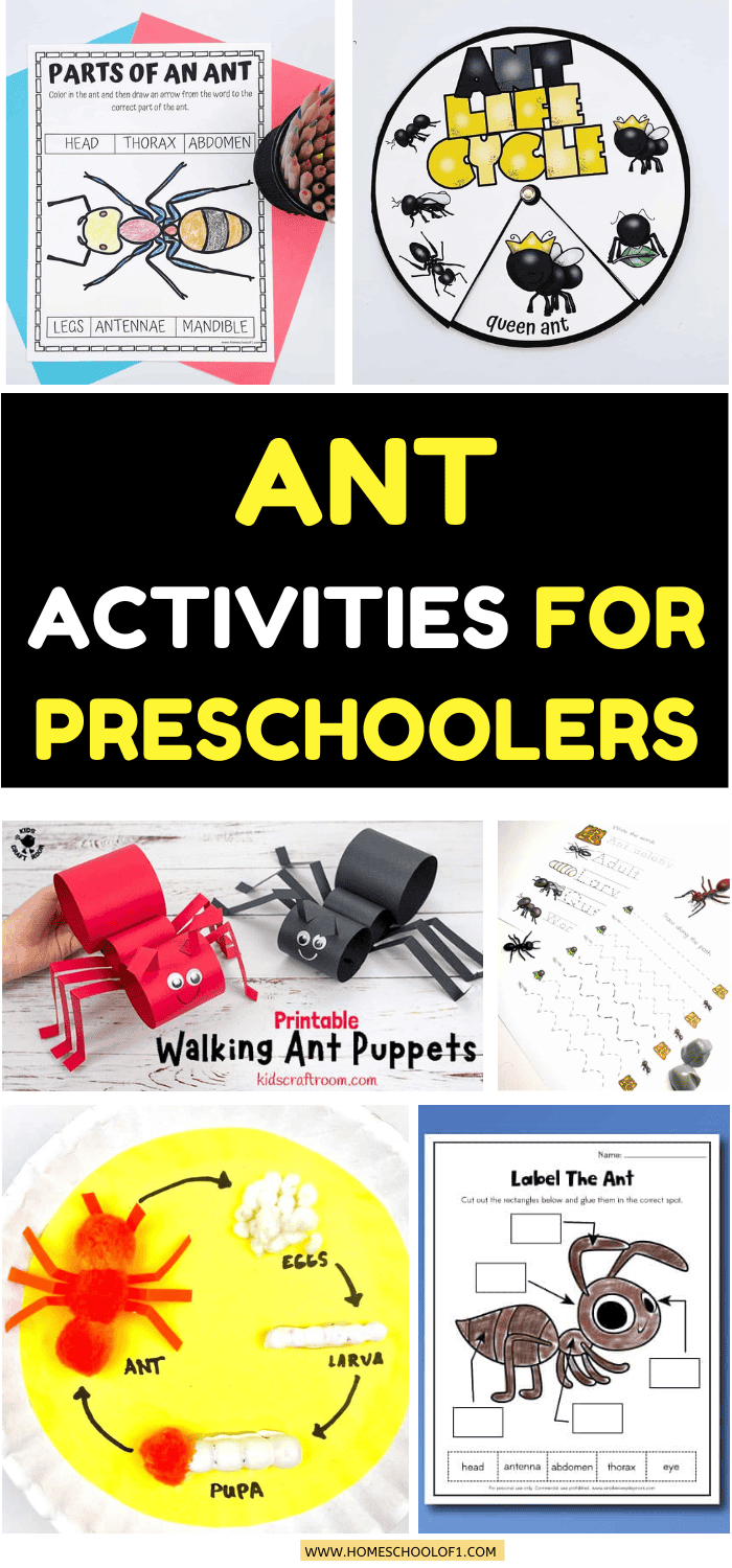 Ant Activities for Preschoolers to Learn and Play