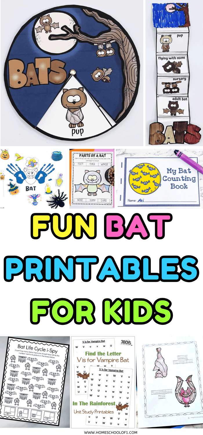 15 Free Printable Bat Worksheets For Kids