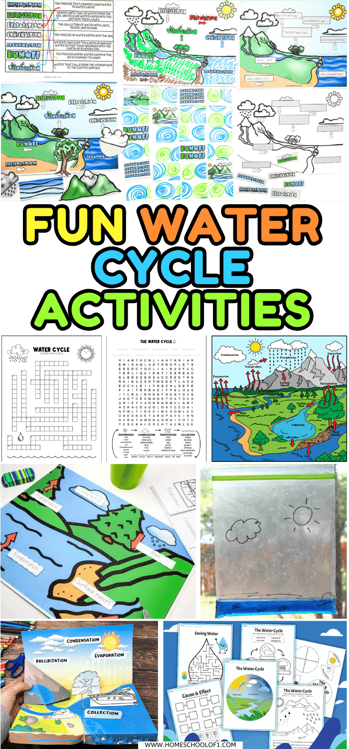 Fun Water Cycle Activities for Kids