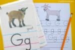 Letter G Activities for Preschoolers | Crafts & Free Worksheets