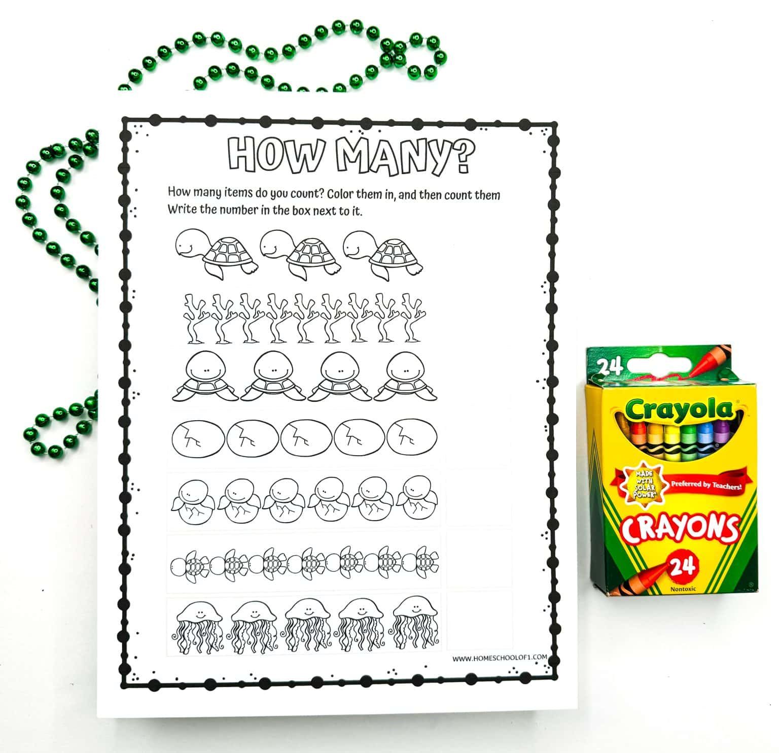 5 Free Turtle Math Worksheets for Preschoolers