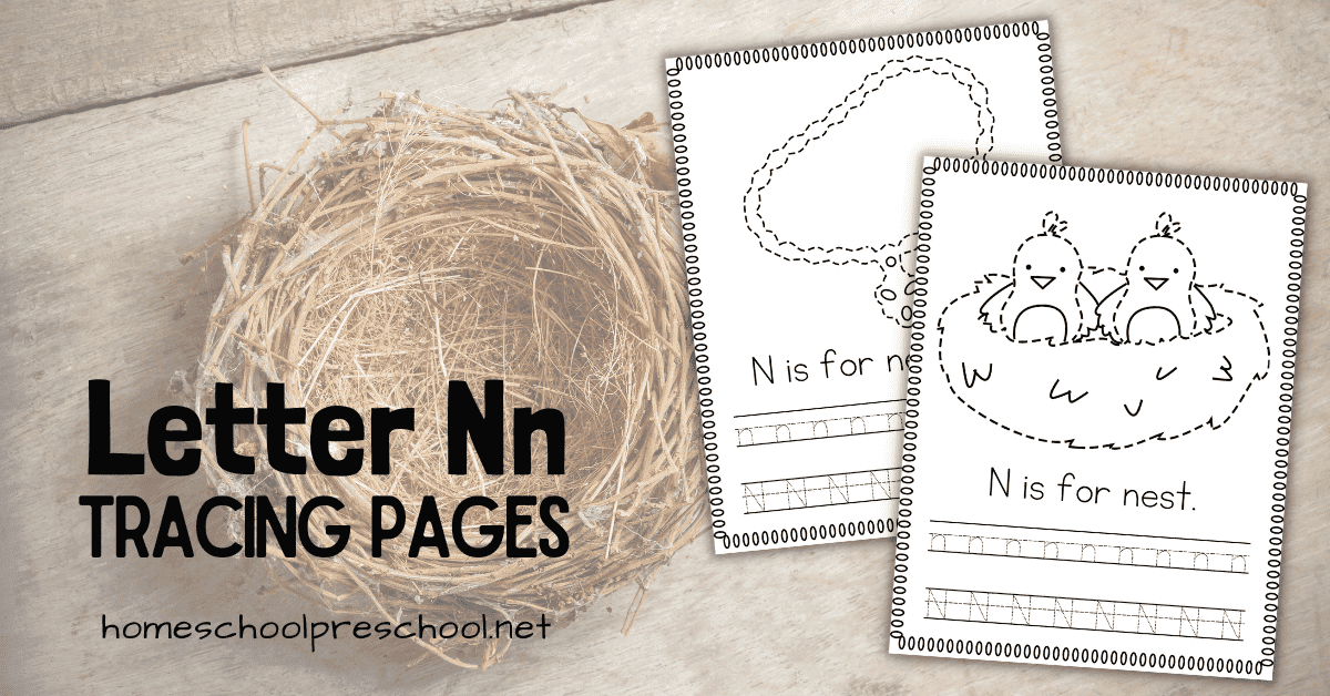 15 Letter N Activities for Preschool (Crafts & Worksheets)