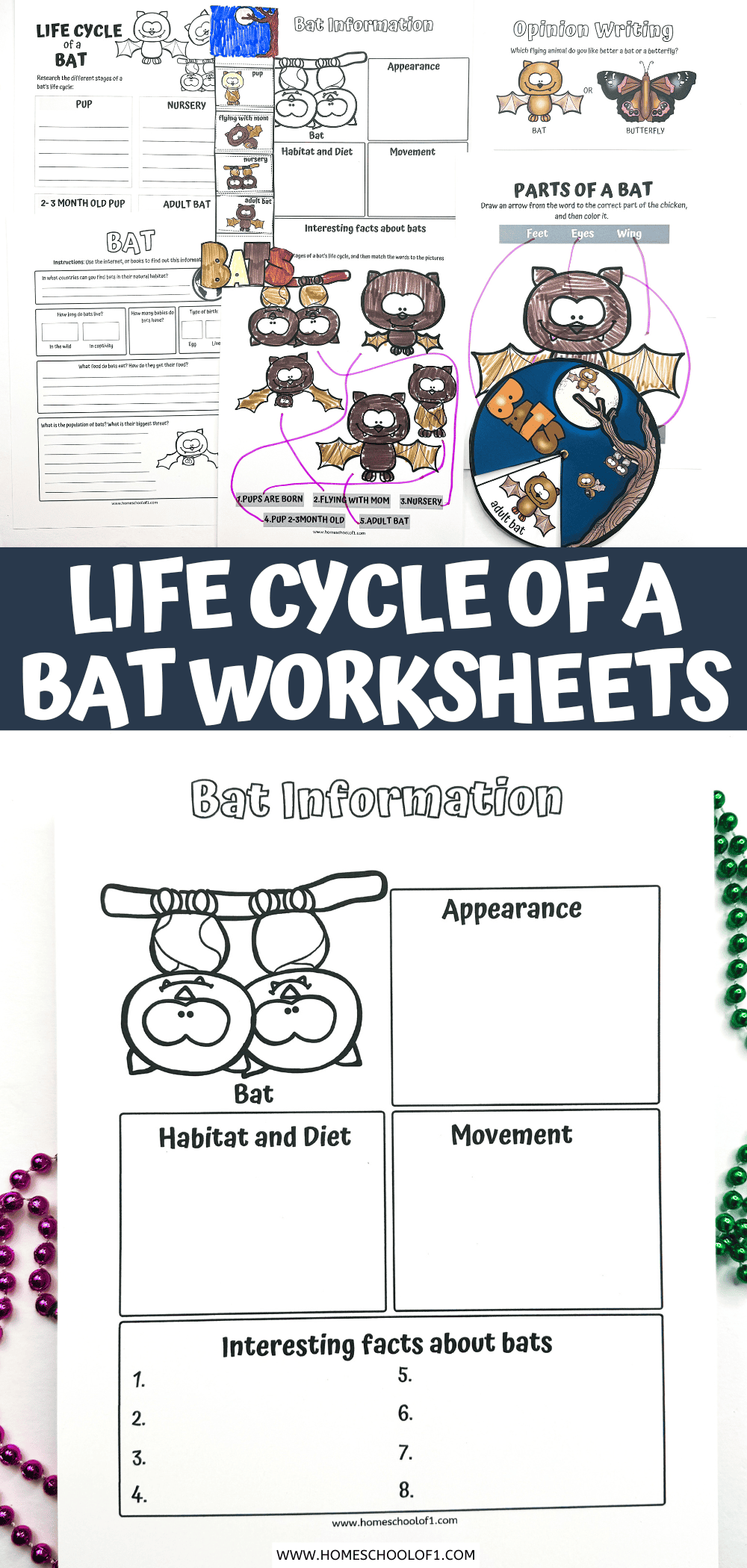 Free Bat Life Cycle Worksheet For Kids
