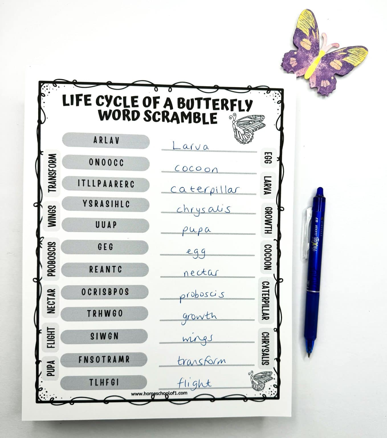 Free Butterfly Word Scramble Printable