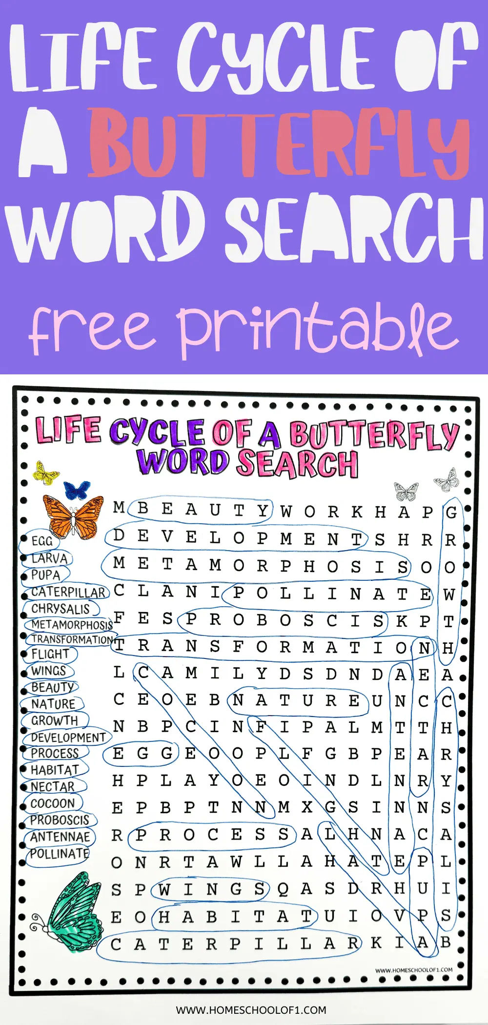 Free Butterfly Life Cycle Word Search Printable