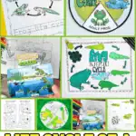 Engaging Life Cycle of a Frog Activities for Kids