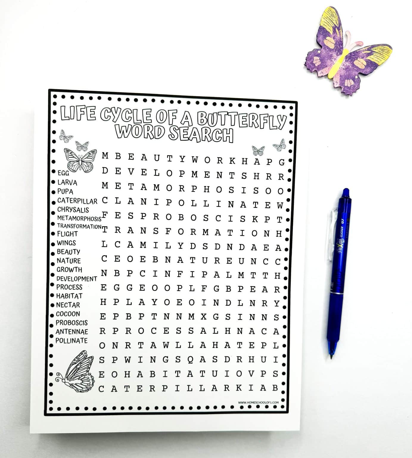 Free Butterfly Word Search Printable for Kids