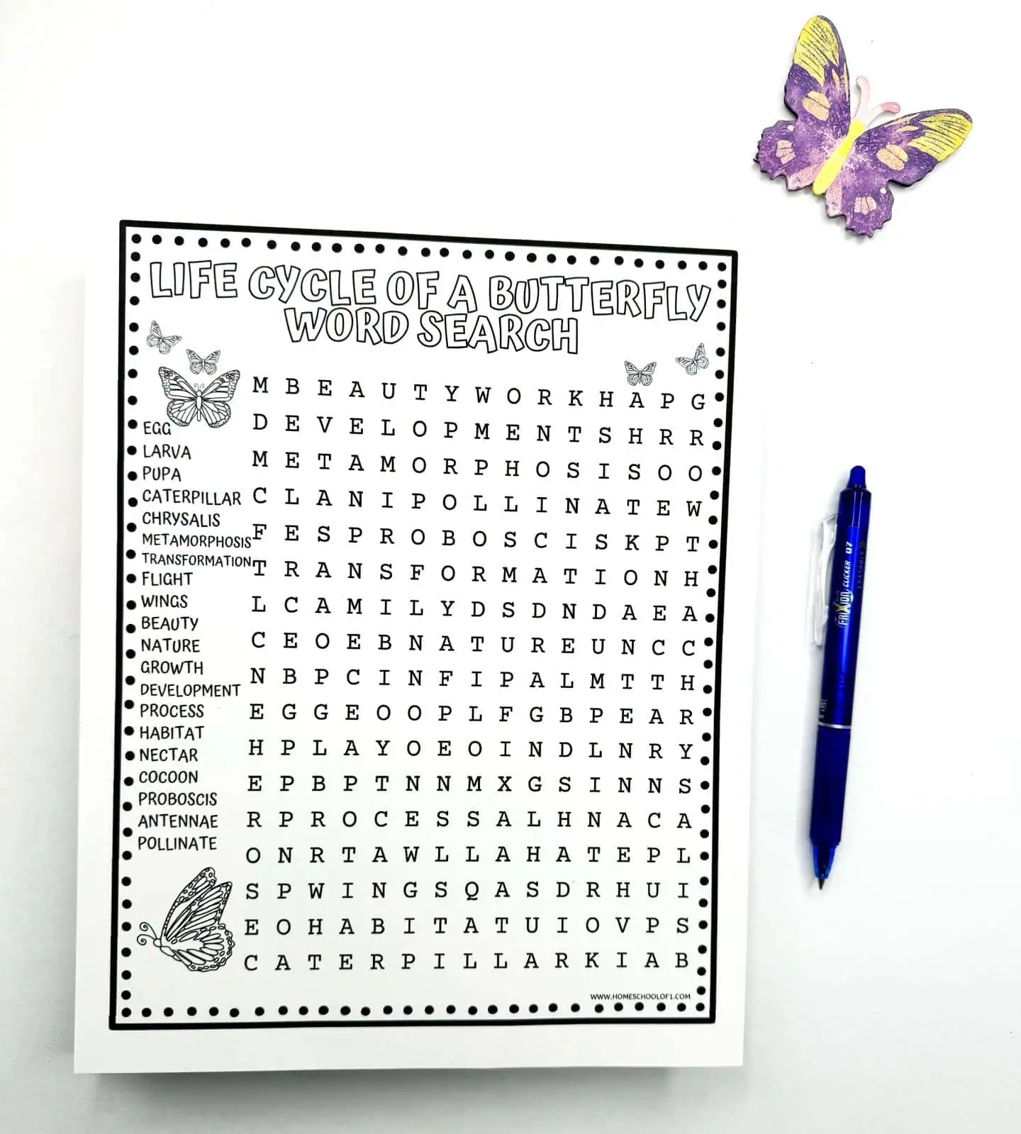 Free Butterfly Life Cycle Word Search Printable