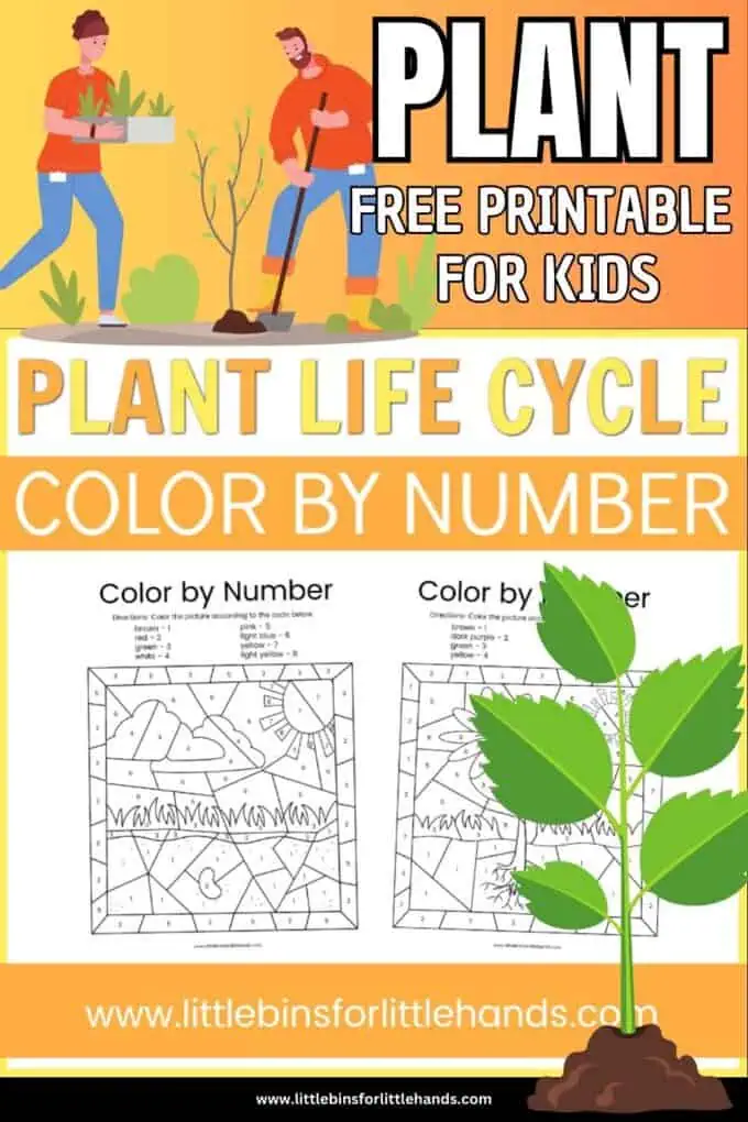 22 Free Plant Worksheets for Kids
