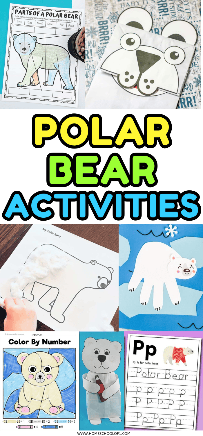 17 Free Polar Bear Activities For Arctic Fun