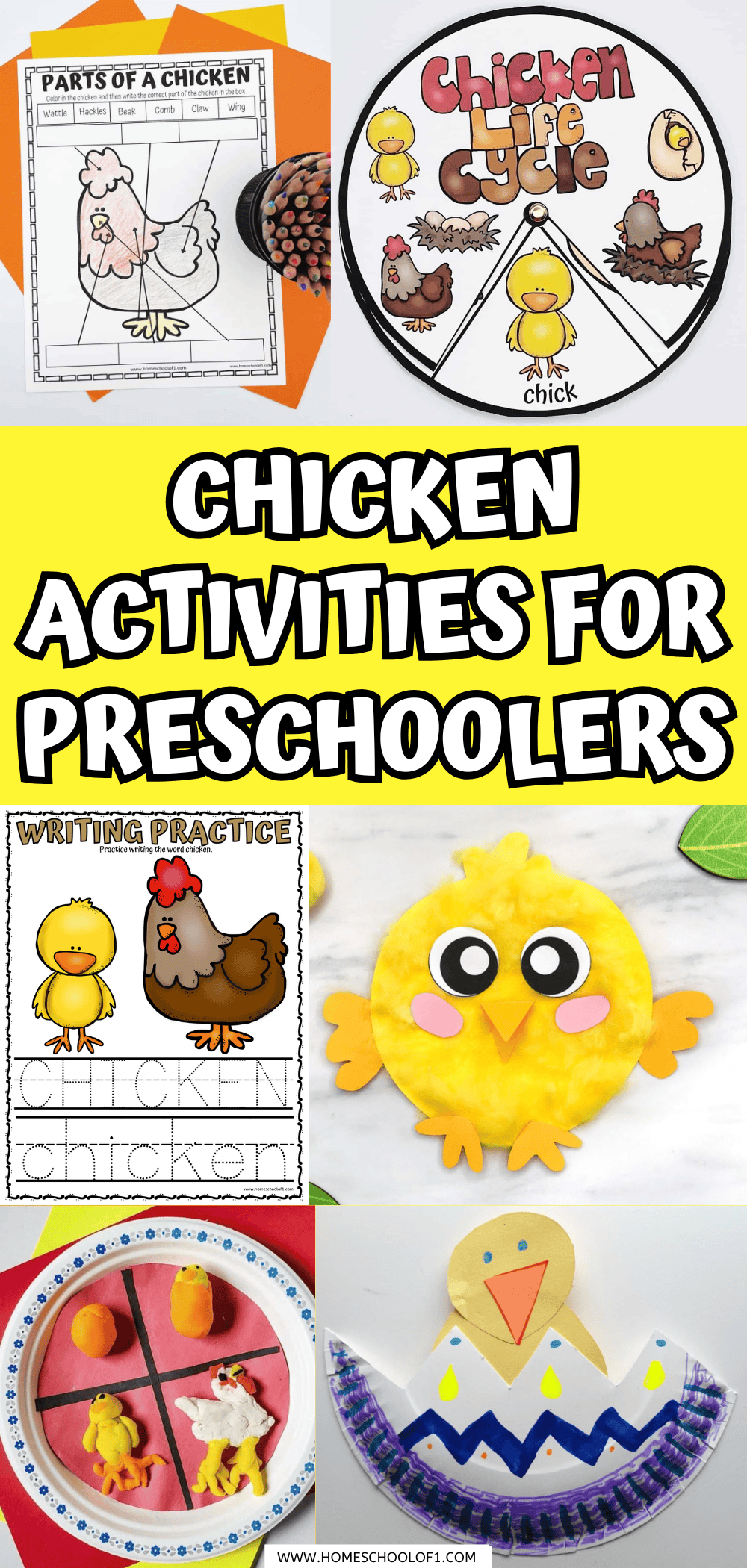 Fun Chicken Activities for Preschoolers | Crafts & Worksheets