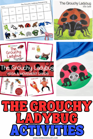 The Grouchy Ladybug Activities and Crafts
