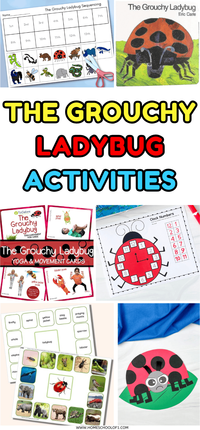 The Grouchy Ladybug Activities and Crafts