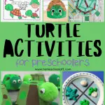 Turtle Activities for Preschoolers with Worksheets and Crafts