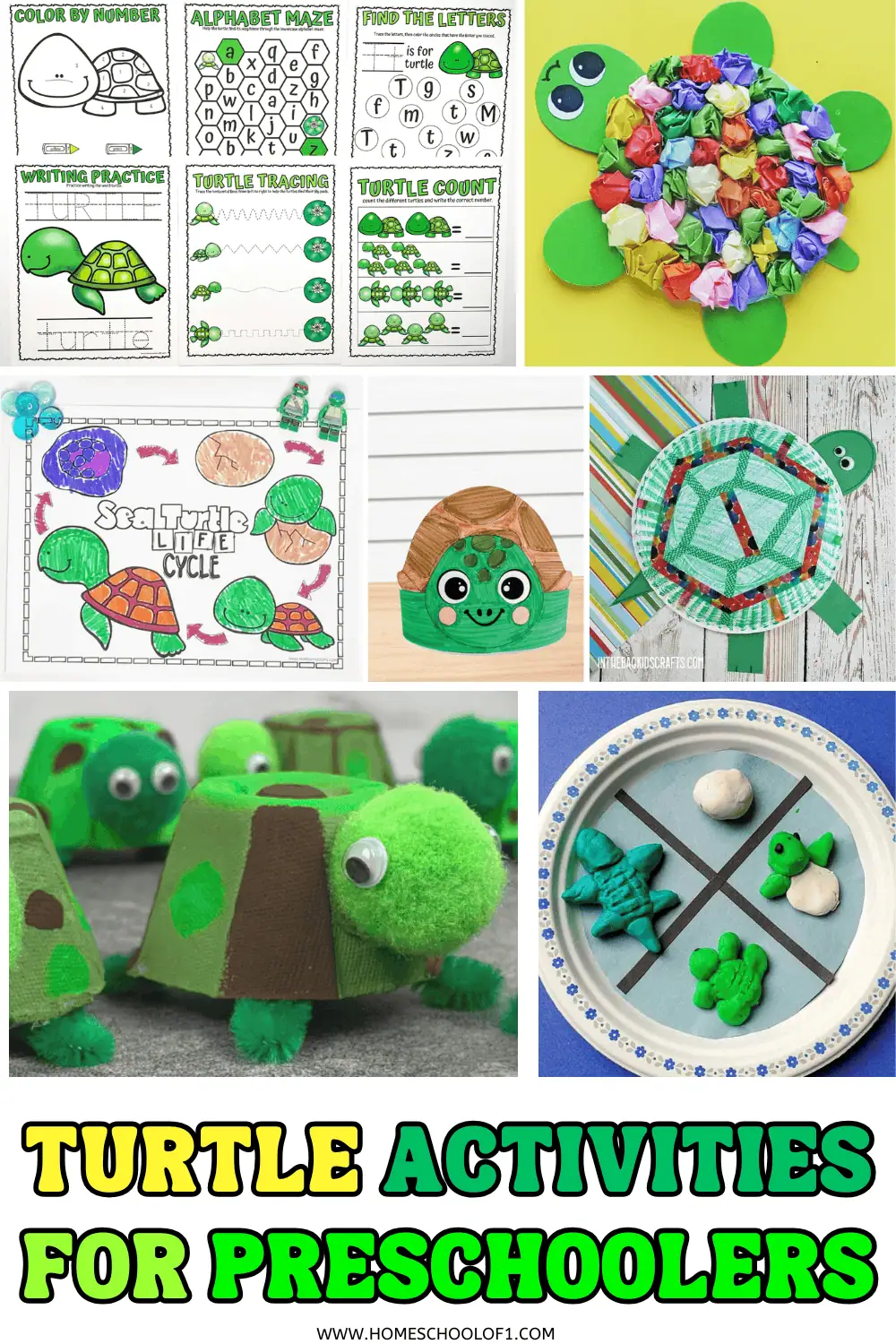 Turtle Activities for Preschoolers with Worksheets and Crafts