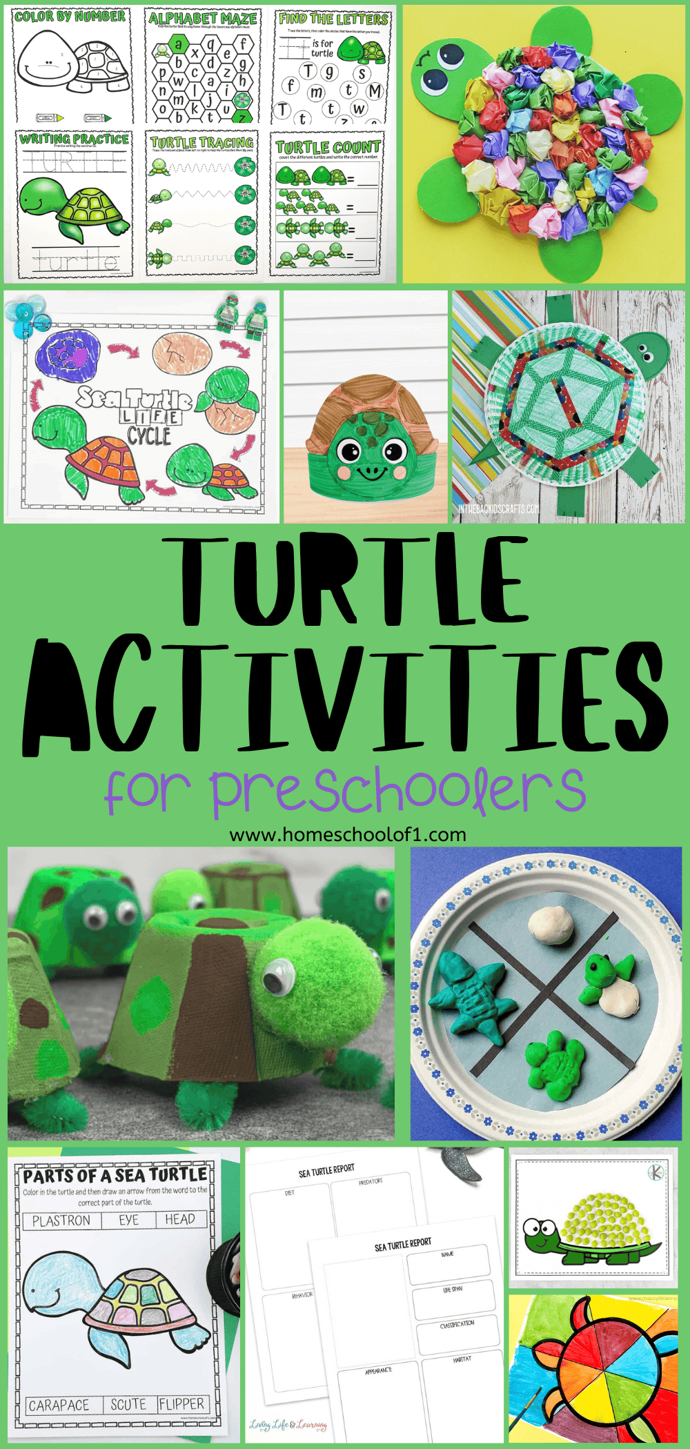 Turtle Activities for Preschoolers with Worksheets and Crafts
