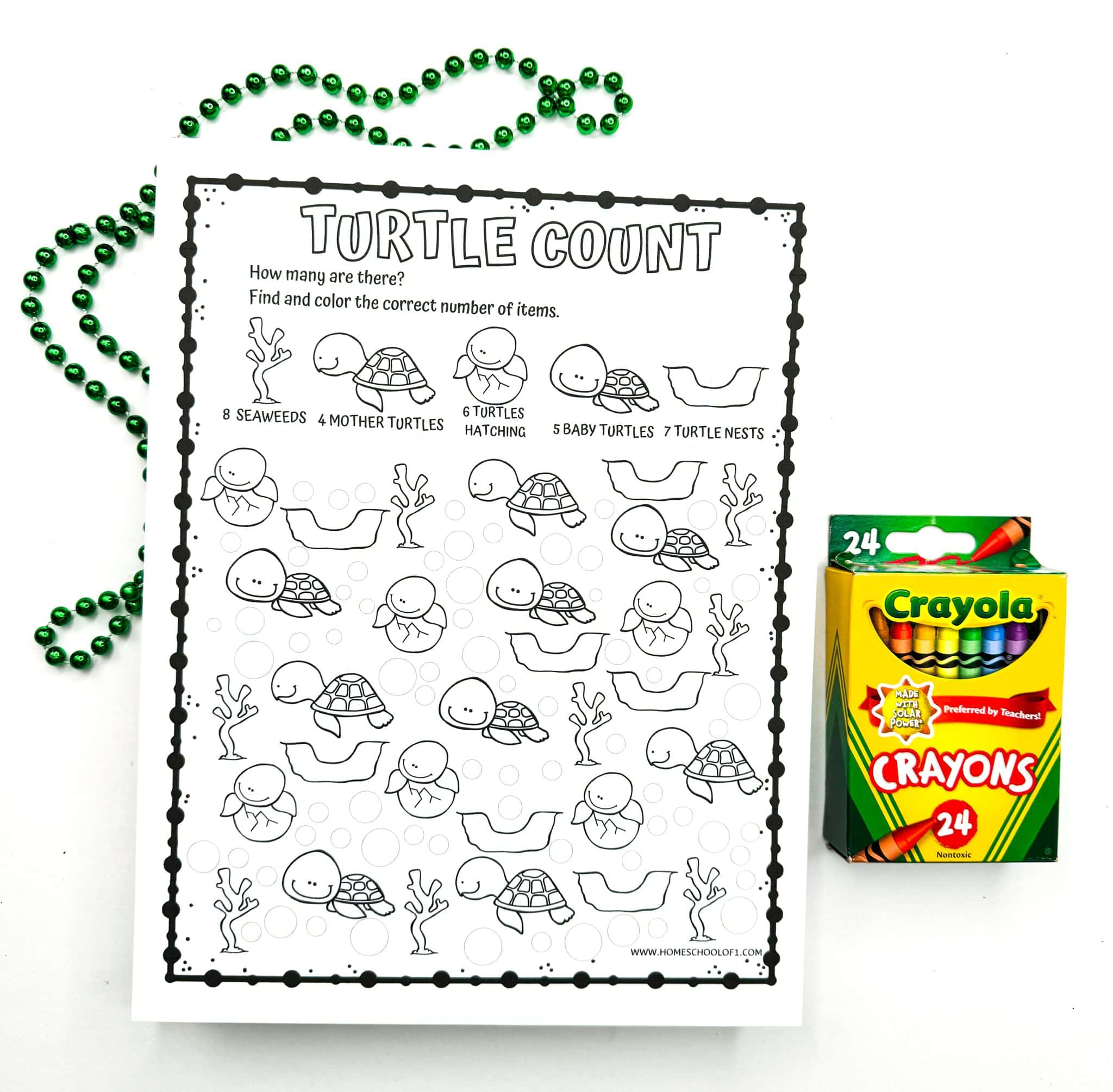 5 Free Turtle Math Worksheets for Preschoolers