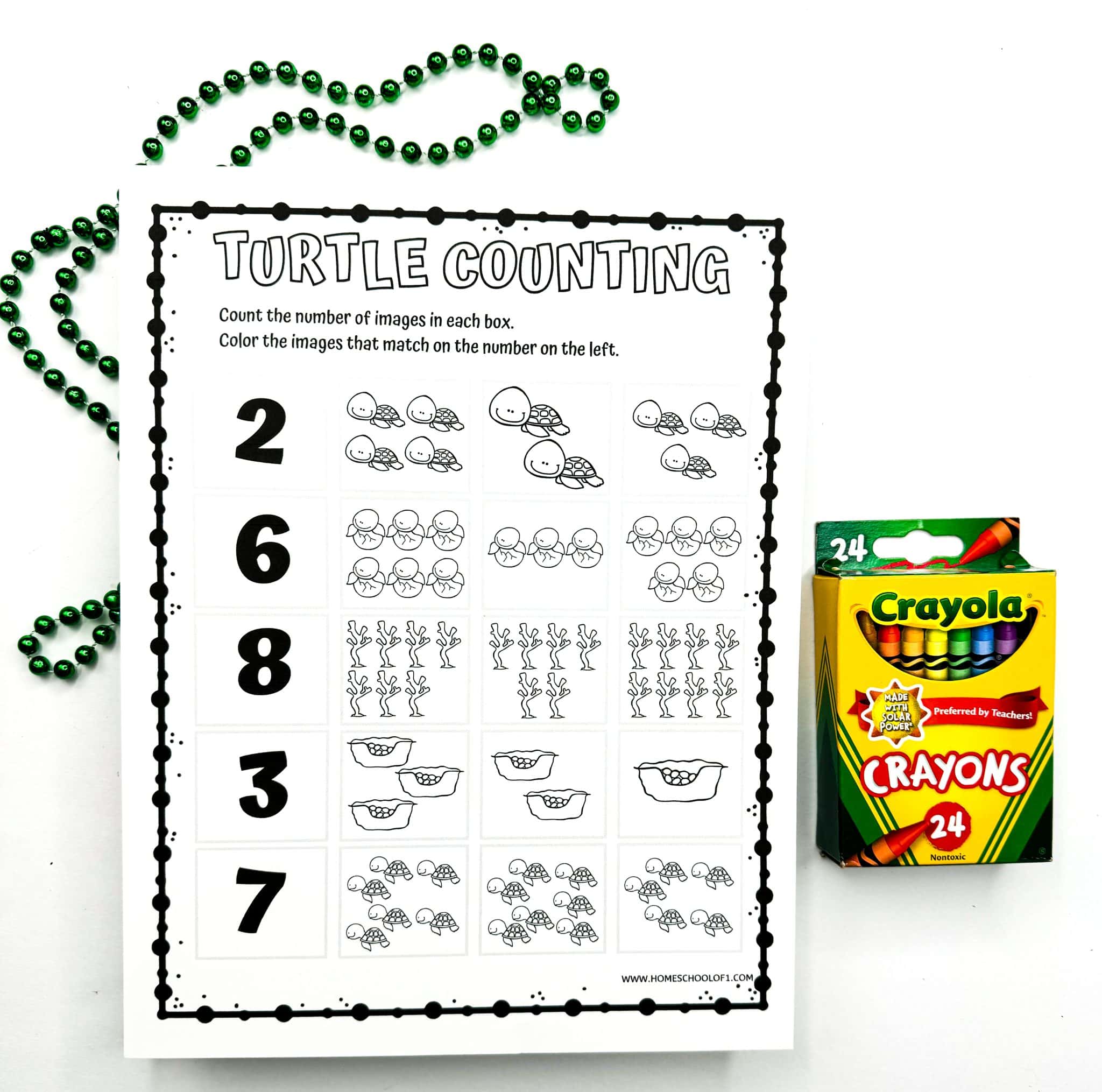 5 Free Turtle Math Worksheets for Preschoolers