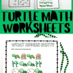 5 Free Turtle Math Worksheets for Preschoolers