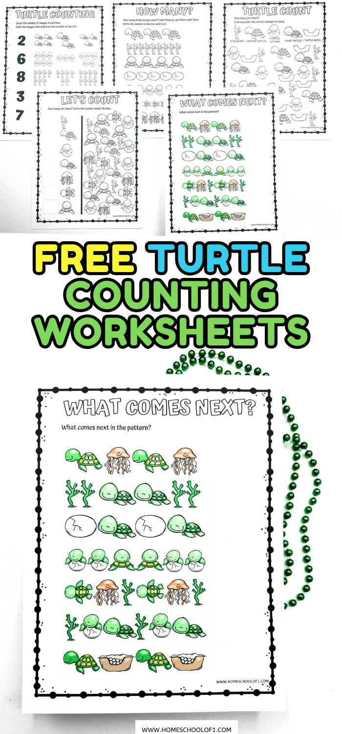 5 Free Turtle Math Worksheets for Preschoolers