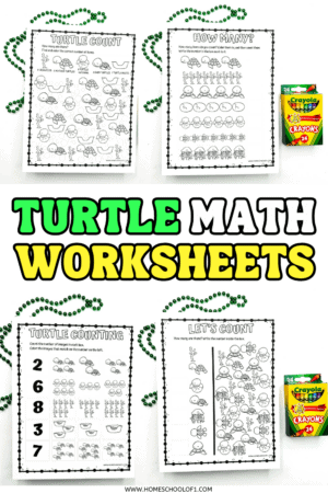 5 Free Turtle Math Worksheets for Preschoolers