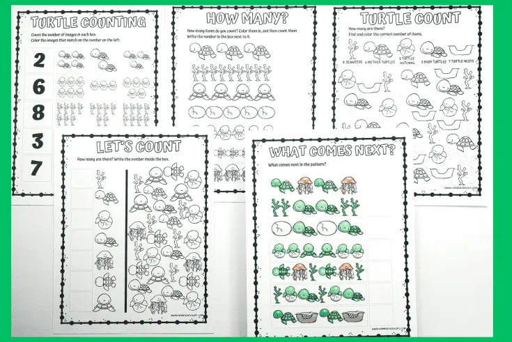 Turtle Activities for Preschoolers with Worksheets and Crafts