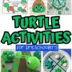 Turtle Activities for Preschoolers with Worksheets and Crafts