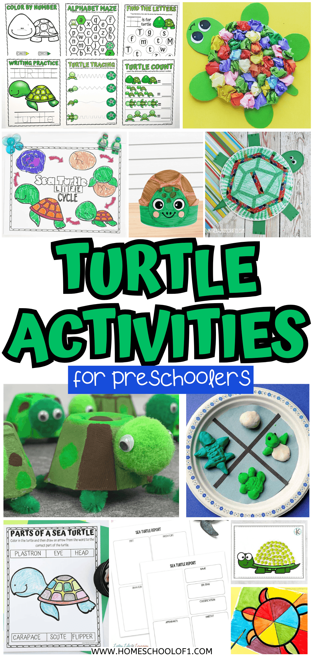 Turtle Activities for Preschoolers with Worksheets and Crafts
