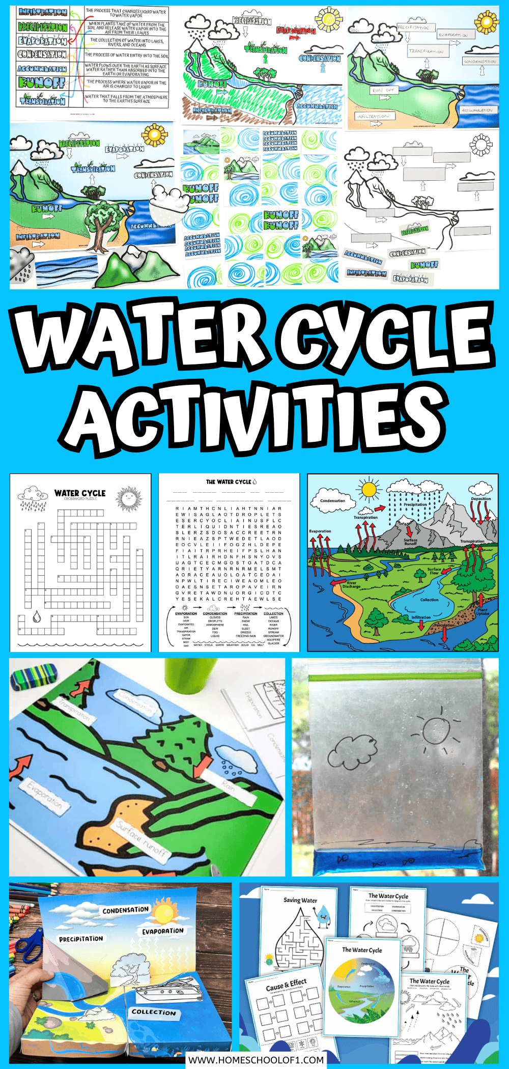 Fun Water Cycle Activities for Kids