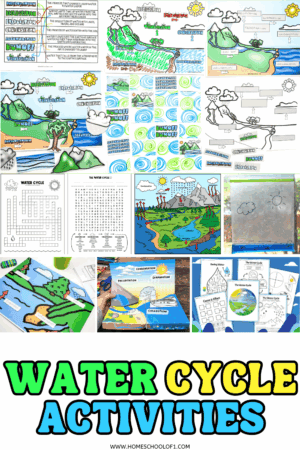 Fun Water Cycle Activities for Kids