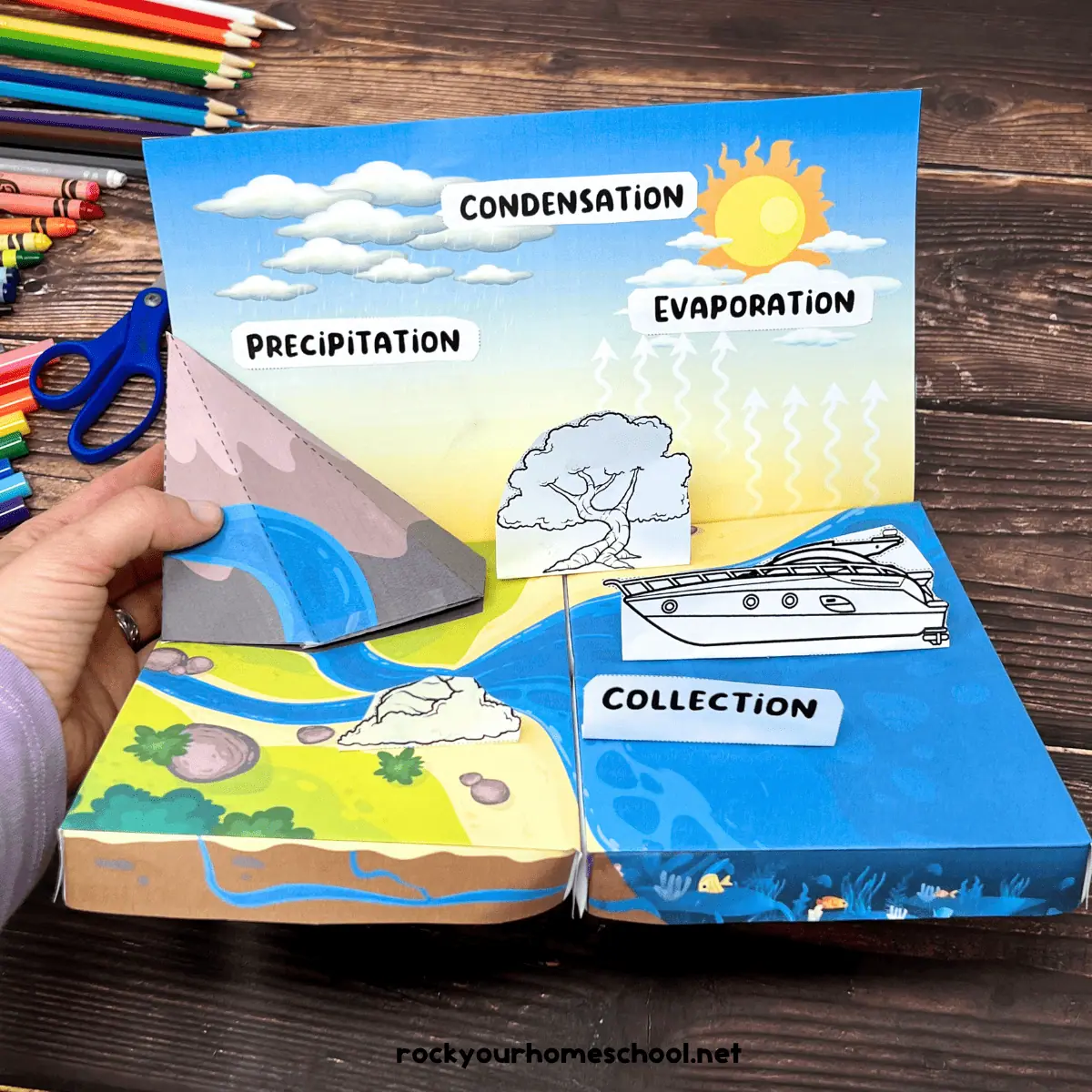 Fun Water Cycle Activities for Kids