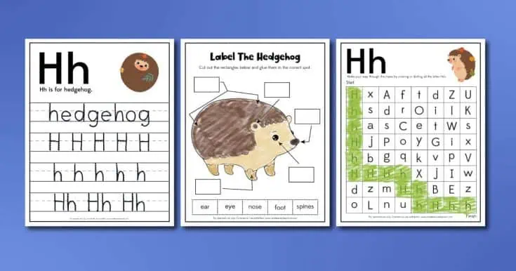 11 Hedgehog Worksheets For Learning Fun!