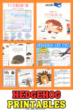 Hedgehog Printables and Activities for Kids