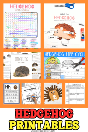 Hedgehog Printables and Activities for Kids