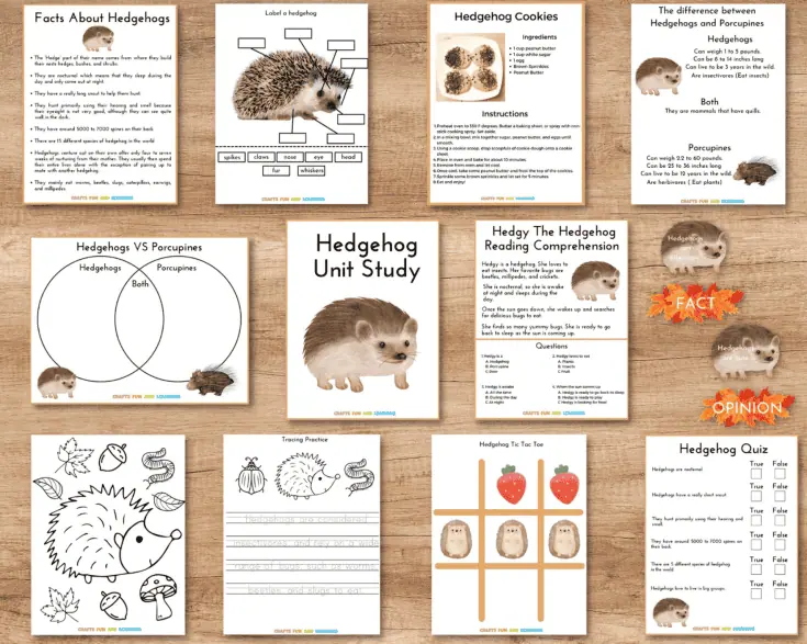 11 Hedgehog Worksheets For Learning Fun!