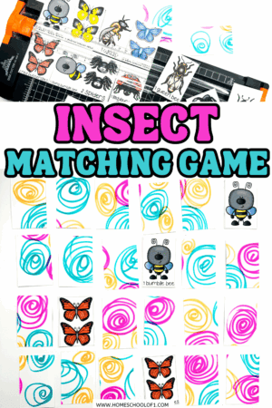 Free Insect Memory Game Printable