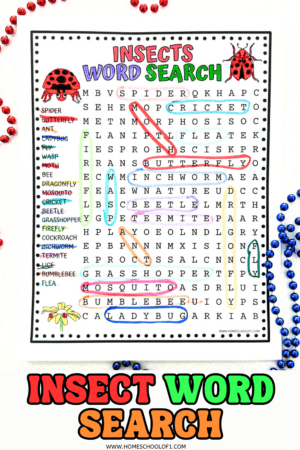 Insect Word Search (Free Printable Game)