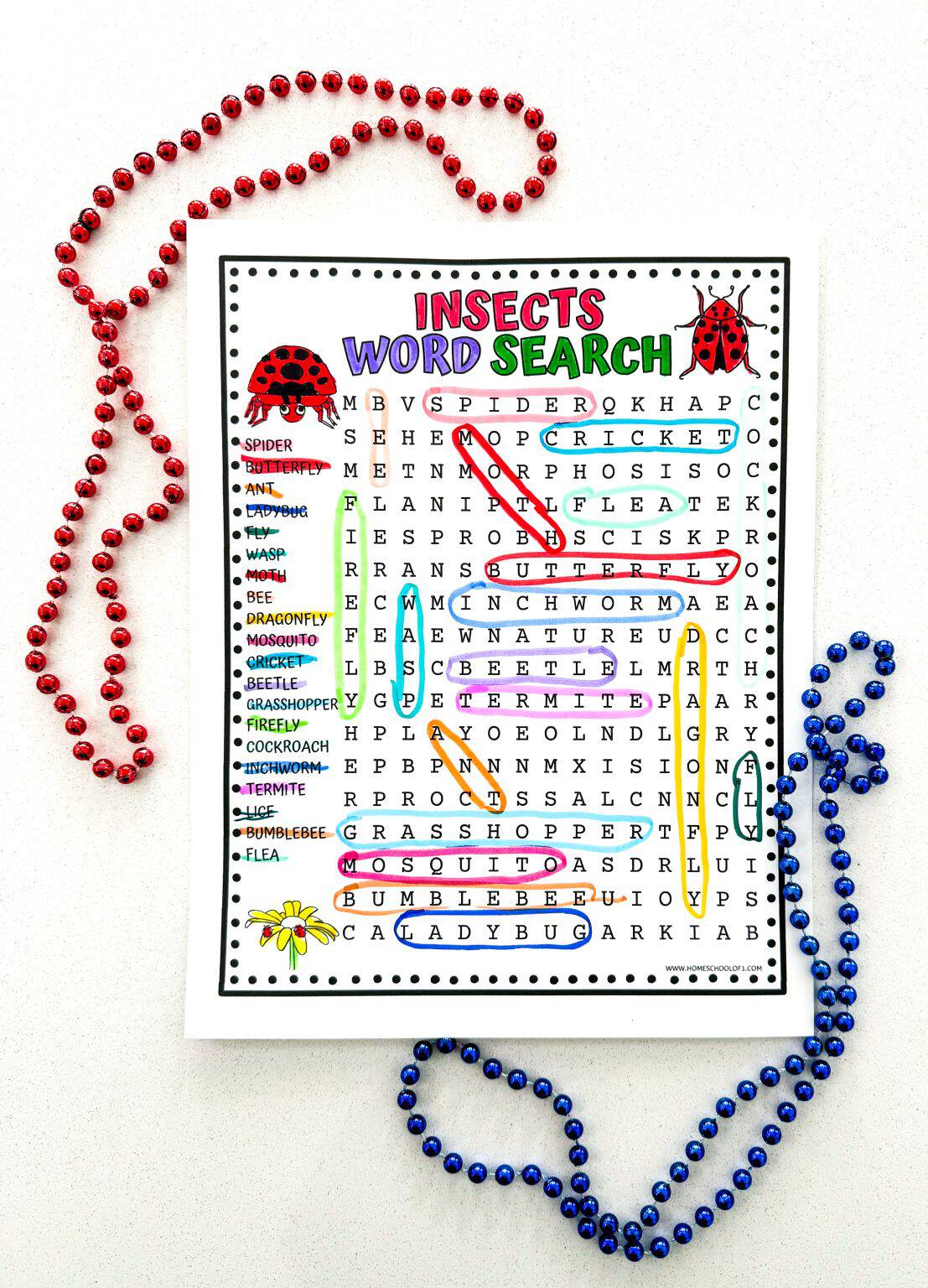 Insect Word Search (Free Printable Game)