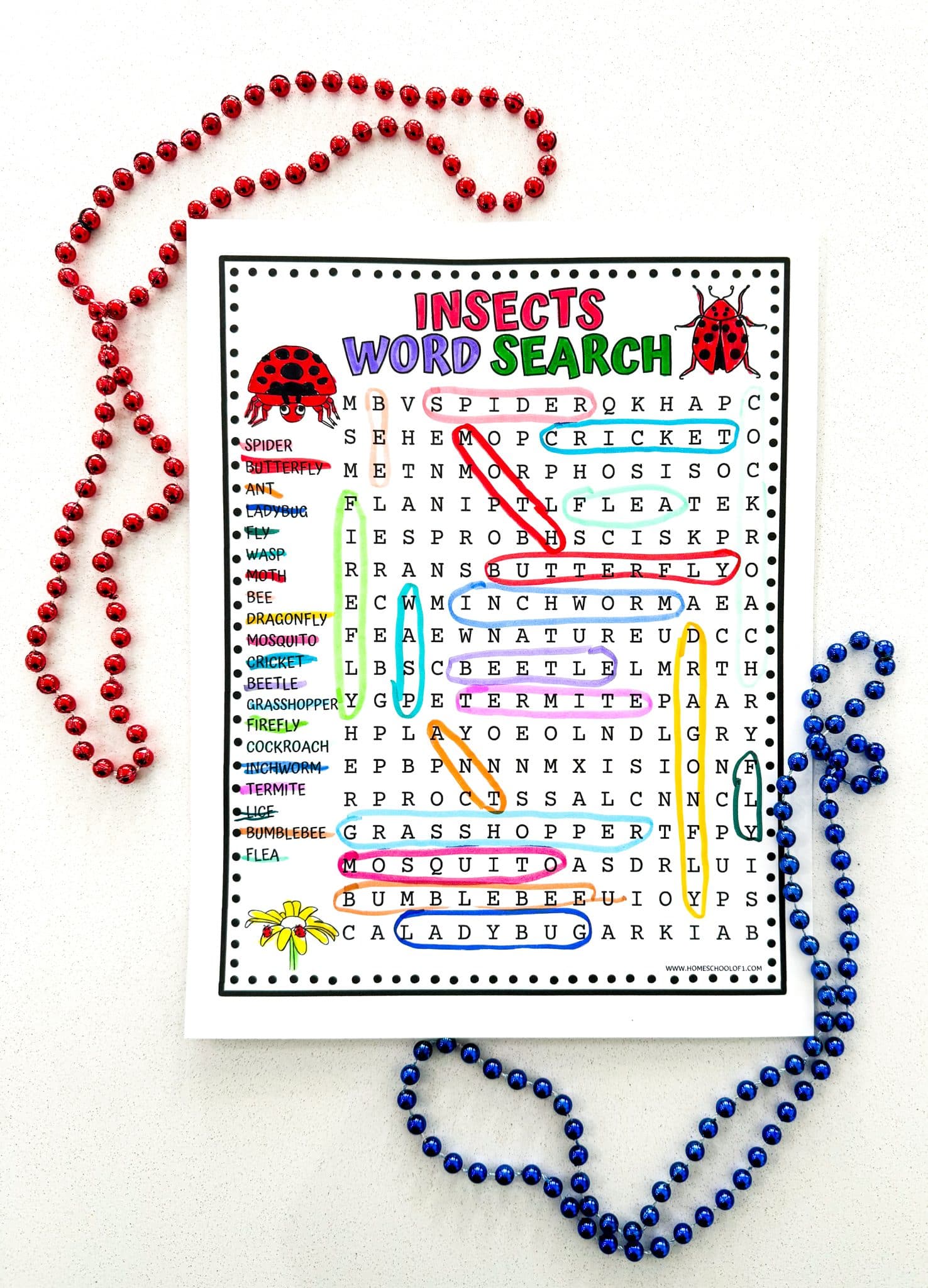 Insect Word Search (Free Printable Game)
